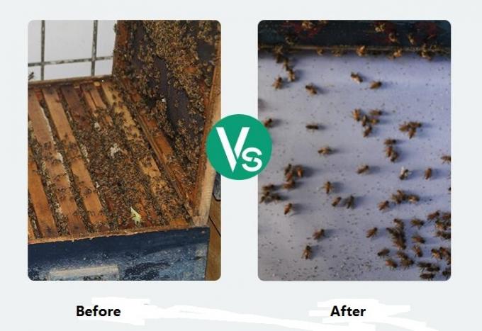 Wangshi-Bienenbehandlung Manpu 20 streift in hohem Grade aktive ...